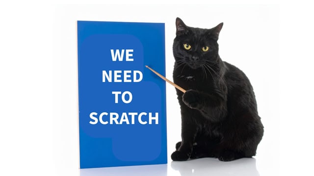 The Truth About Cat Scratching: Stop Demonizing What’s Natural ...